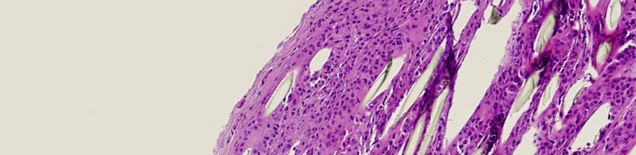 Elastic Plastic Surgery - Characteristics | Korpo.com